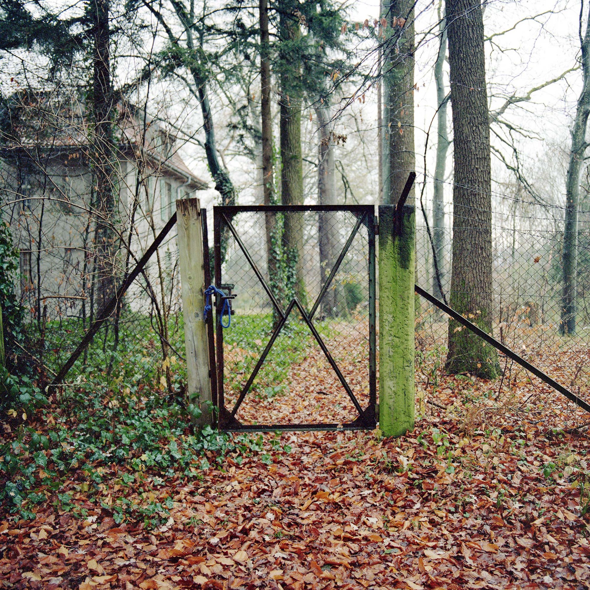 DANIEL RUPP — Elisabeth