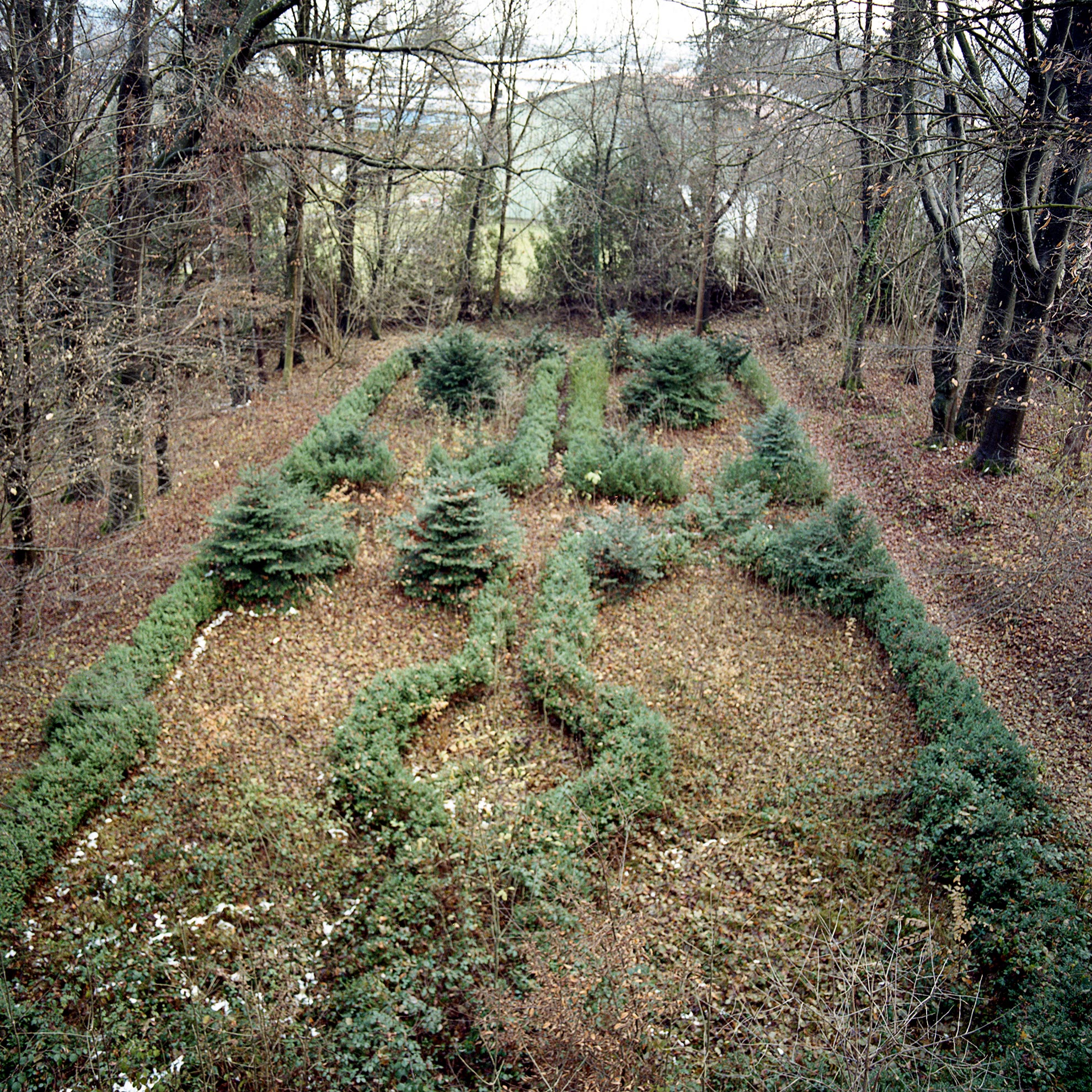 DANIEL RUPP — Elisabeth